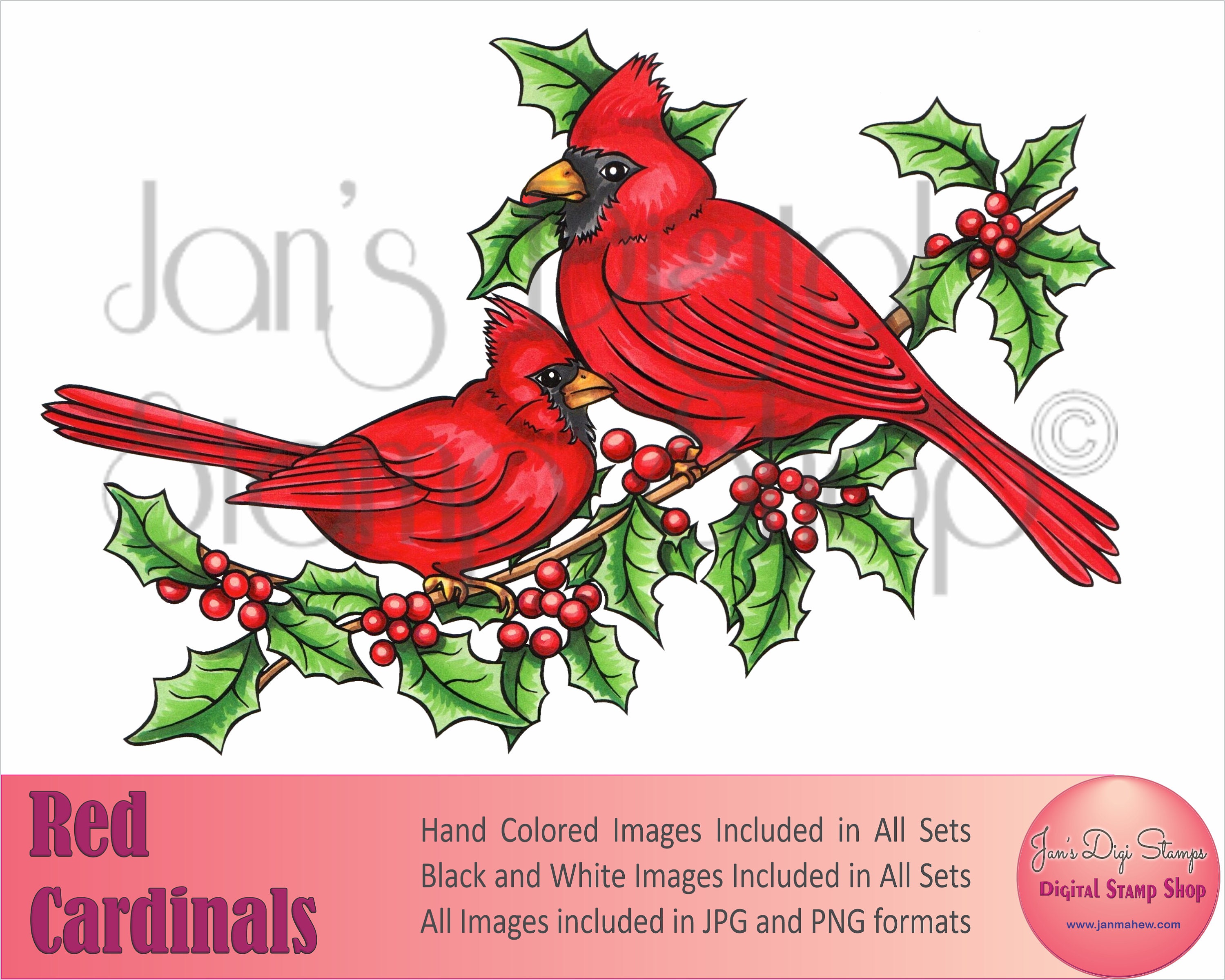 Red Cardinals Digital Stamp Set Instant Digital Download - Etsy