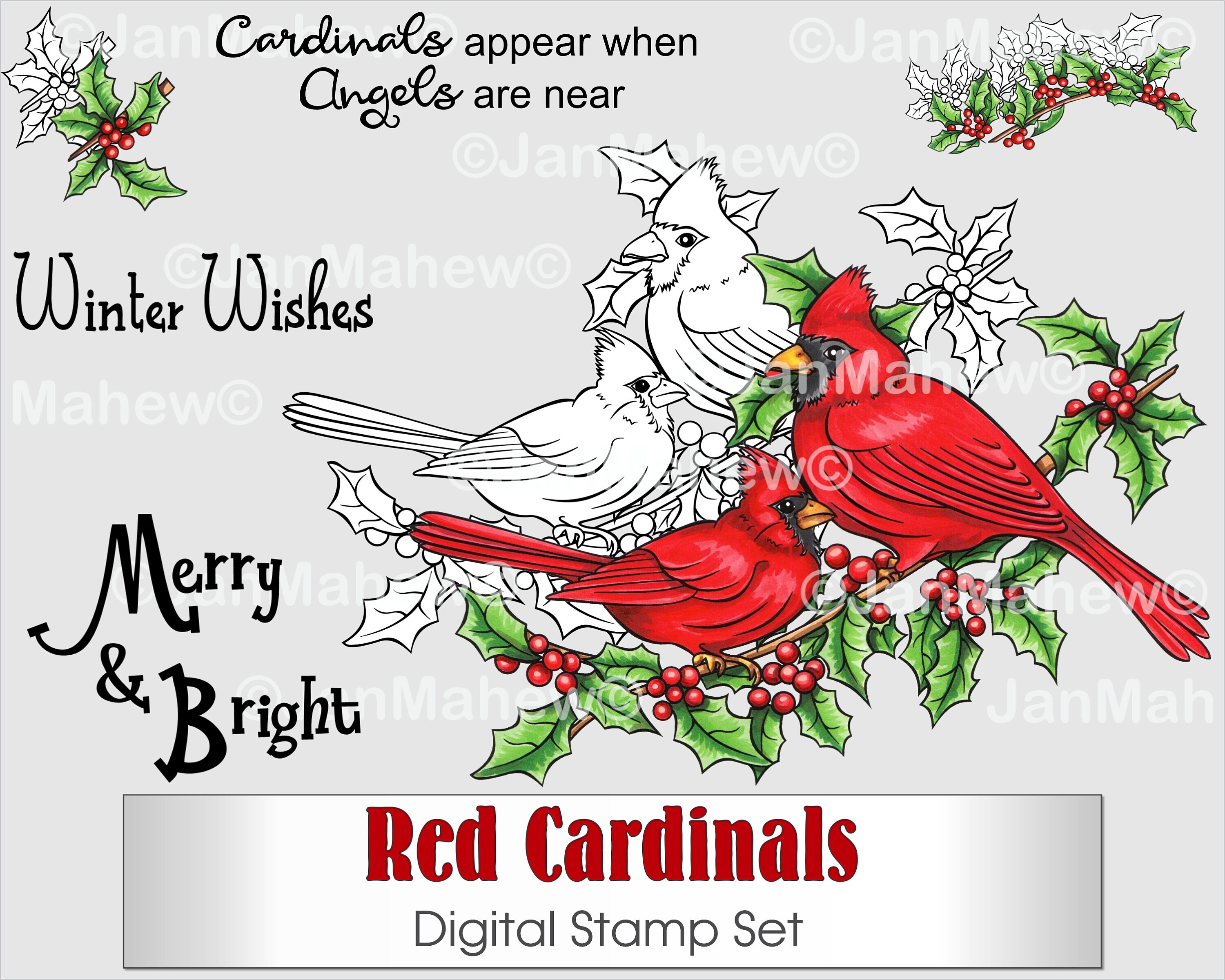 Red Cardinals Digital Stamp Set Instant Digital Download - Etsy