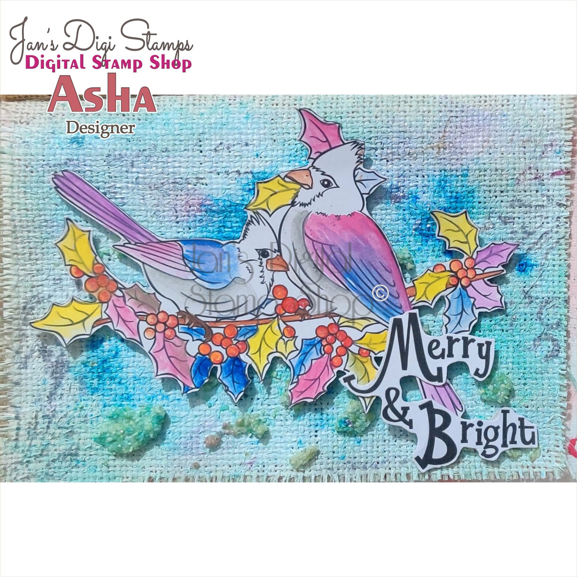 Red Cardinals Digital Stamp Set Instant Digital Download - Etsy