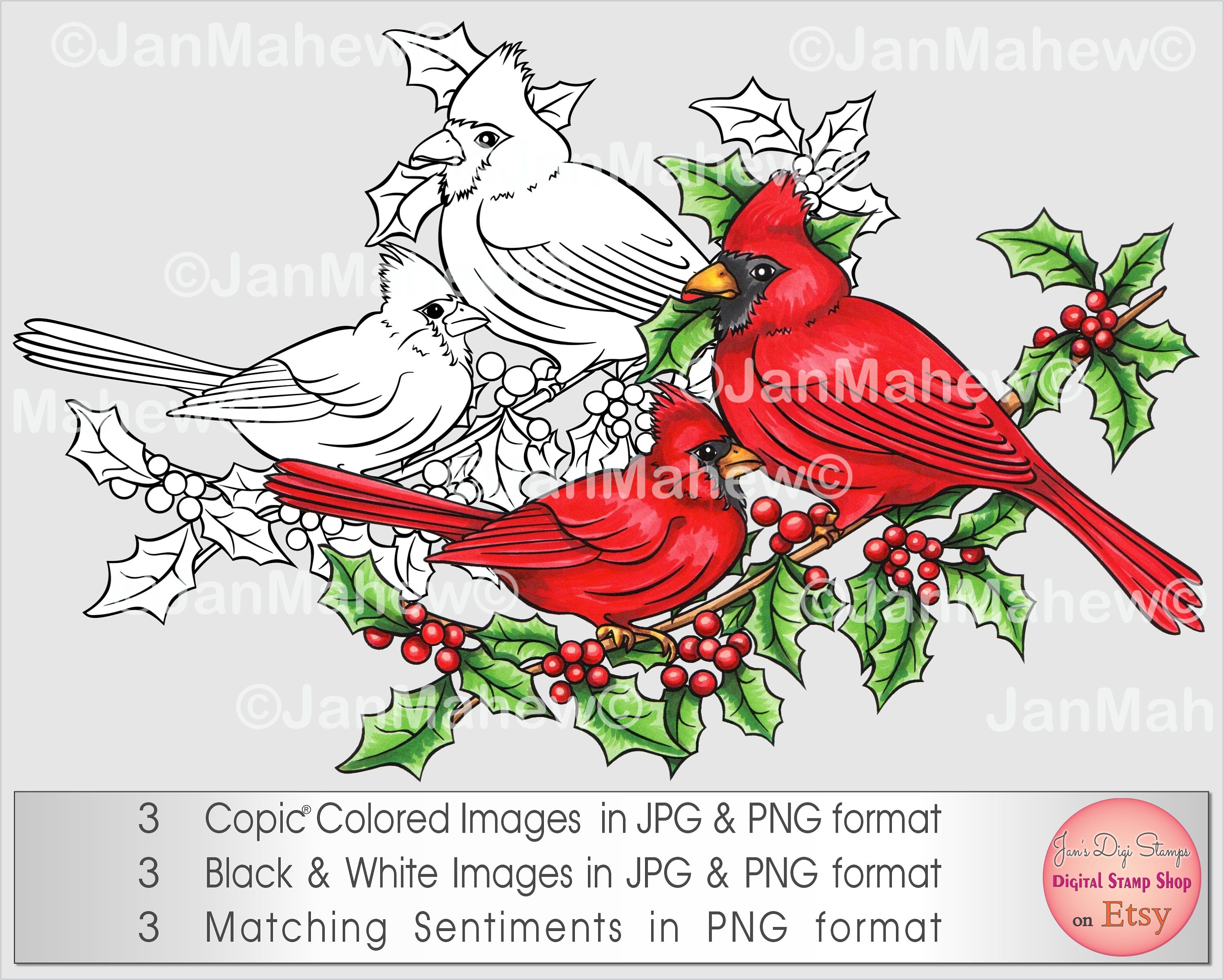 Red Cardinals Digital Stamp Set Instant Digital Download - Etsy
