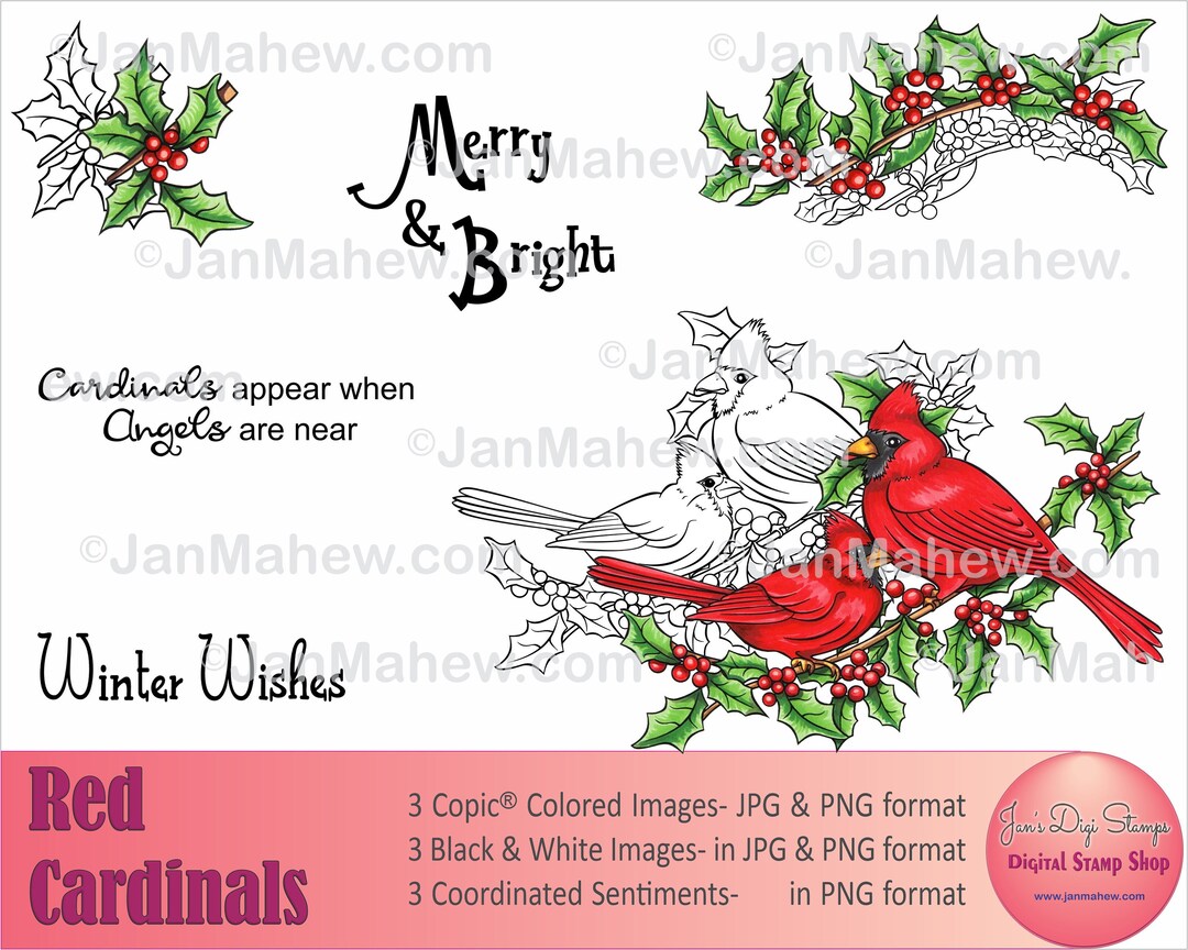 Red Cardinals Digital Stamp Set Instant Digital Download - Etsy