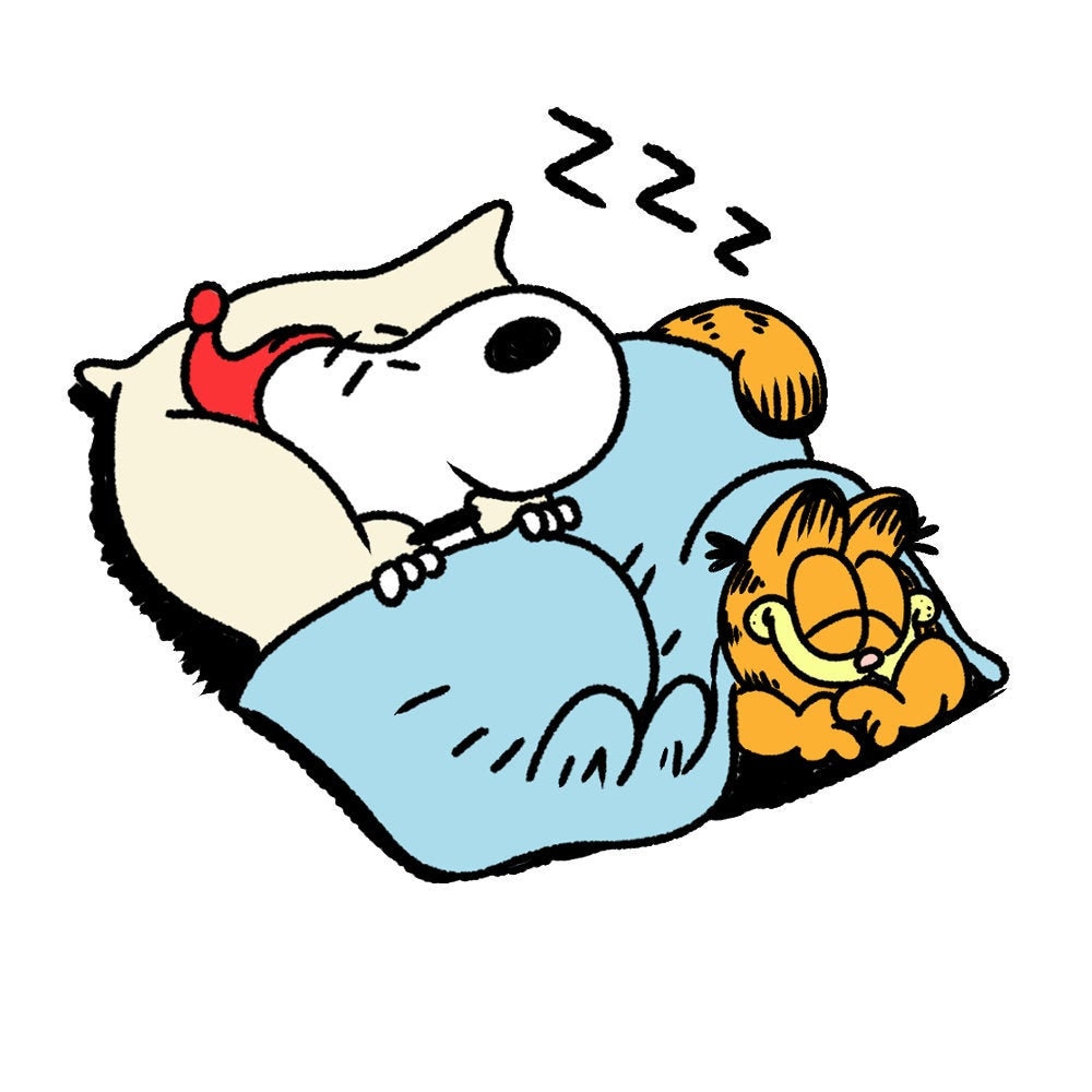 Garfield and Snoopy Sleeping | Etsy