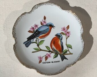 Vintage Bluebird | Etsy