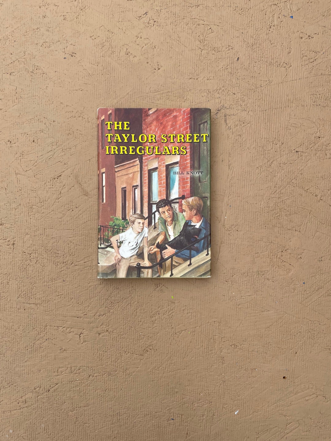 The Taylor Street Irregulars. Bill Knott. Ben Smith. Steck-vaughn ...