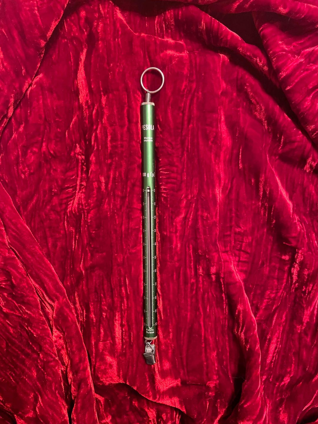 Pesola 100g (p). Precision Spring Scale. Pocket Scale. Green ...