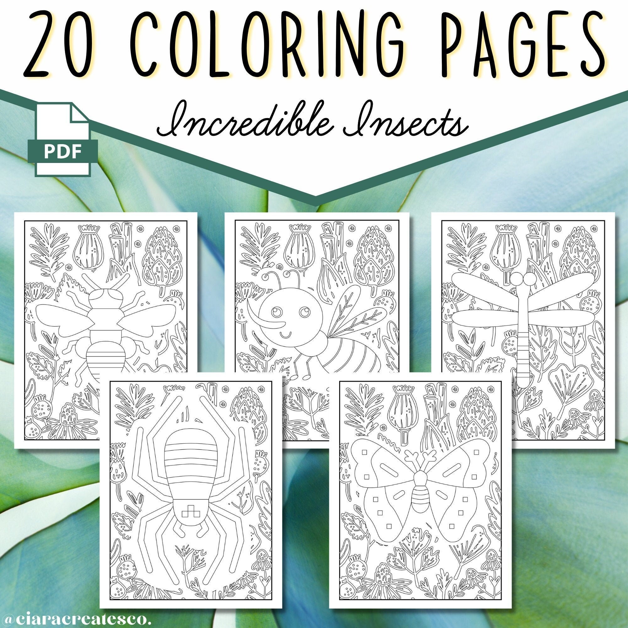 Ladybug Coloring Pages, Bugs of the World, Bug Coloring Page, Insect ...