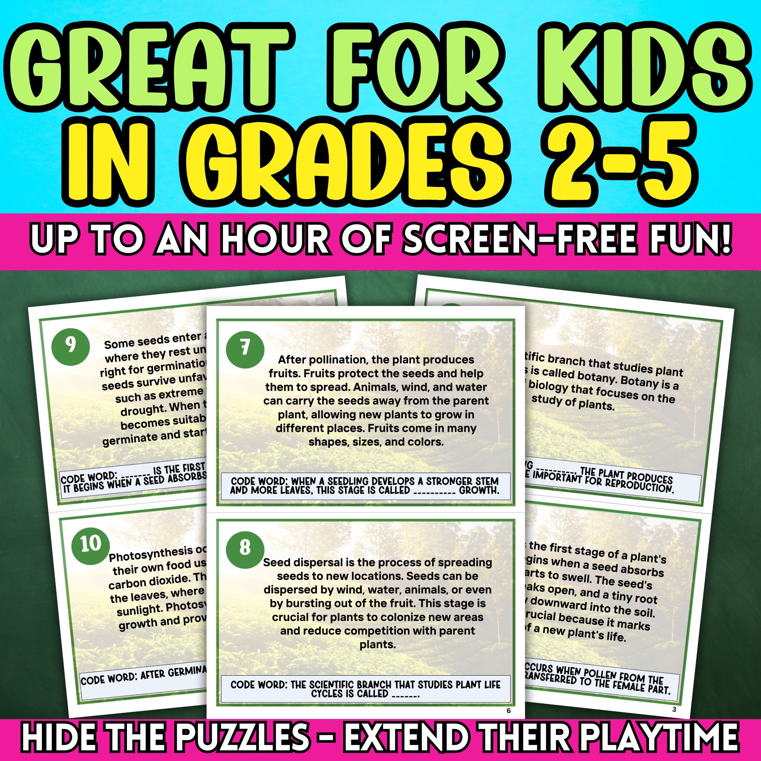Plant Life Cycle Scavenger Hunt: Botany Activity for Kids (digital ...