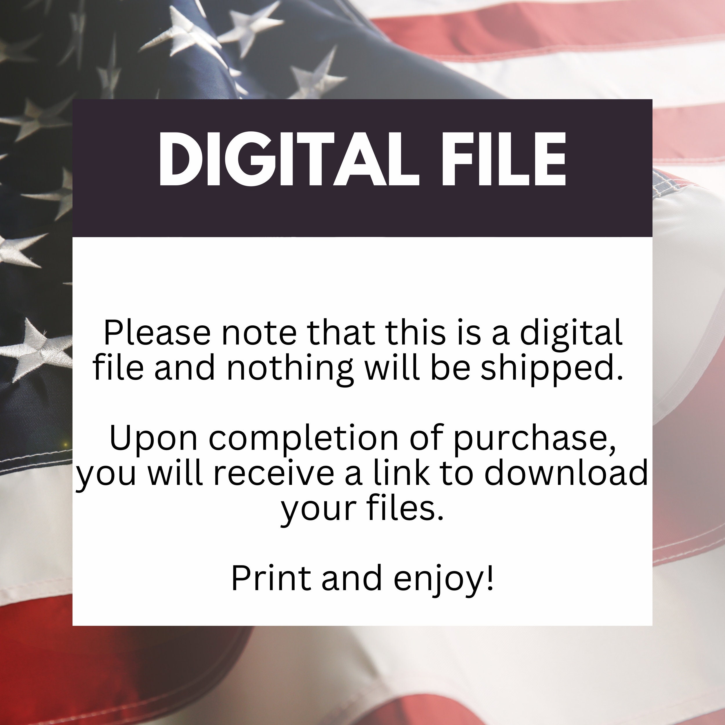 2024 Presidential Election Electoral College Map Watch Party Viewing ...