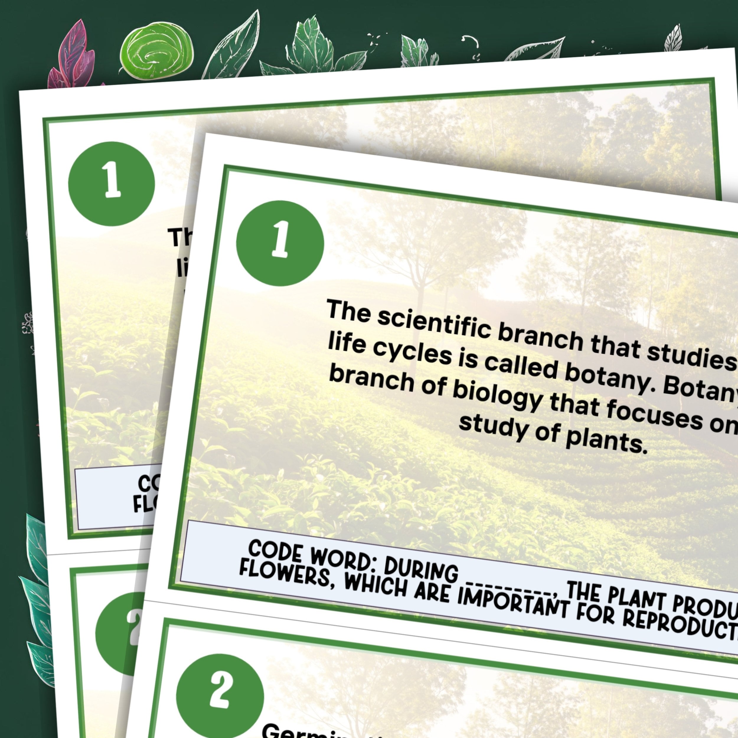 Plant Life Cycle Scavenger Hunt: Botany Activity for Kids (digital ...