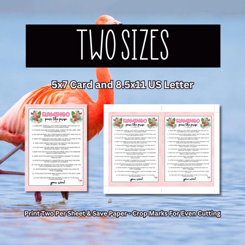 Flamingo Pass the Prize Game: Baby Shower, Office Party (PDF) - Etsy