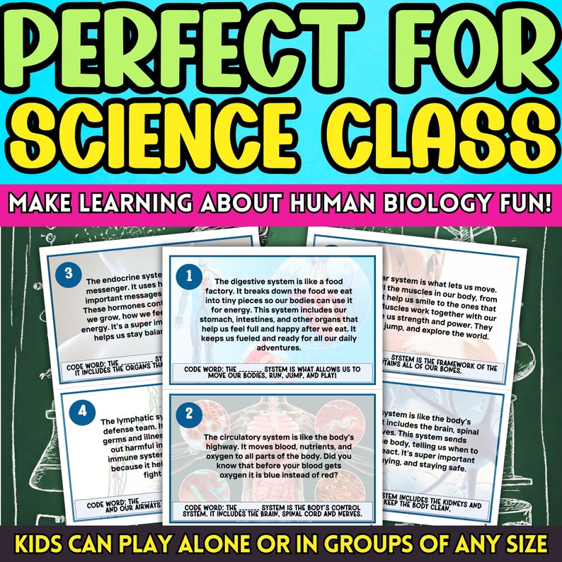 Human Anatomy Scavenger Hunt: Body Systems Game (digital Download) - Etsy