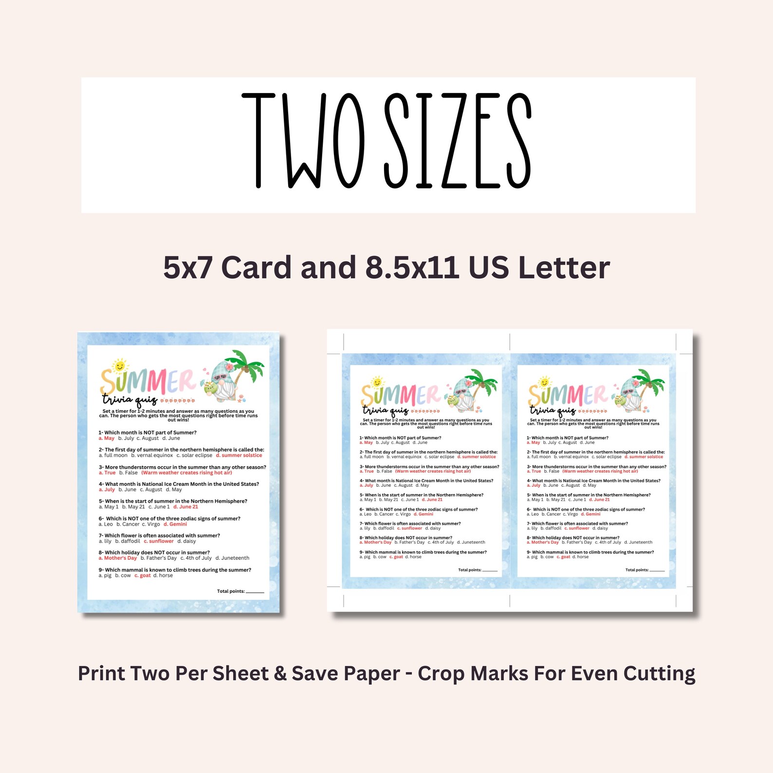 Summer Trivia Printable Multiple Choice Beach Vacation RV Camping Ice ...