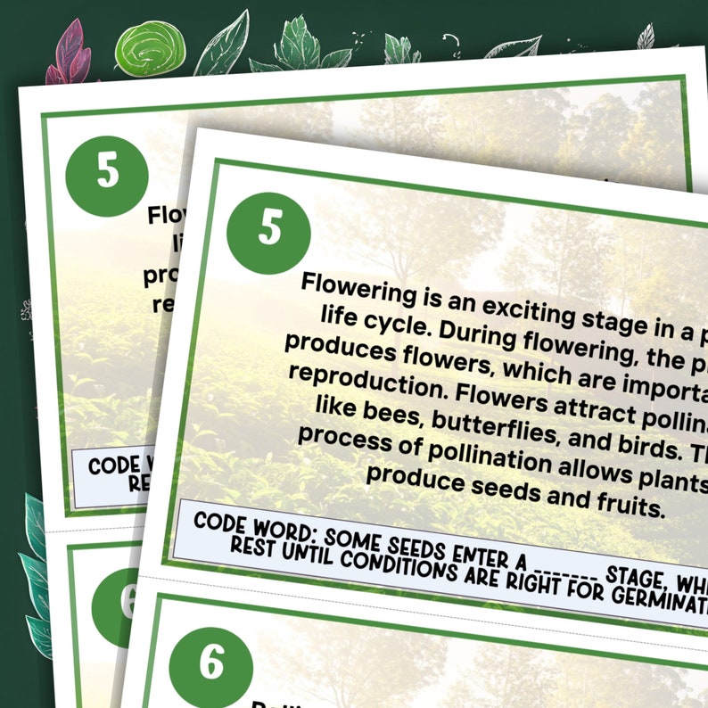 Plant Life Cycle Scavenger Hunt: Botany Activity for Kids (digital ...