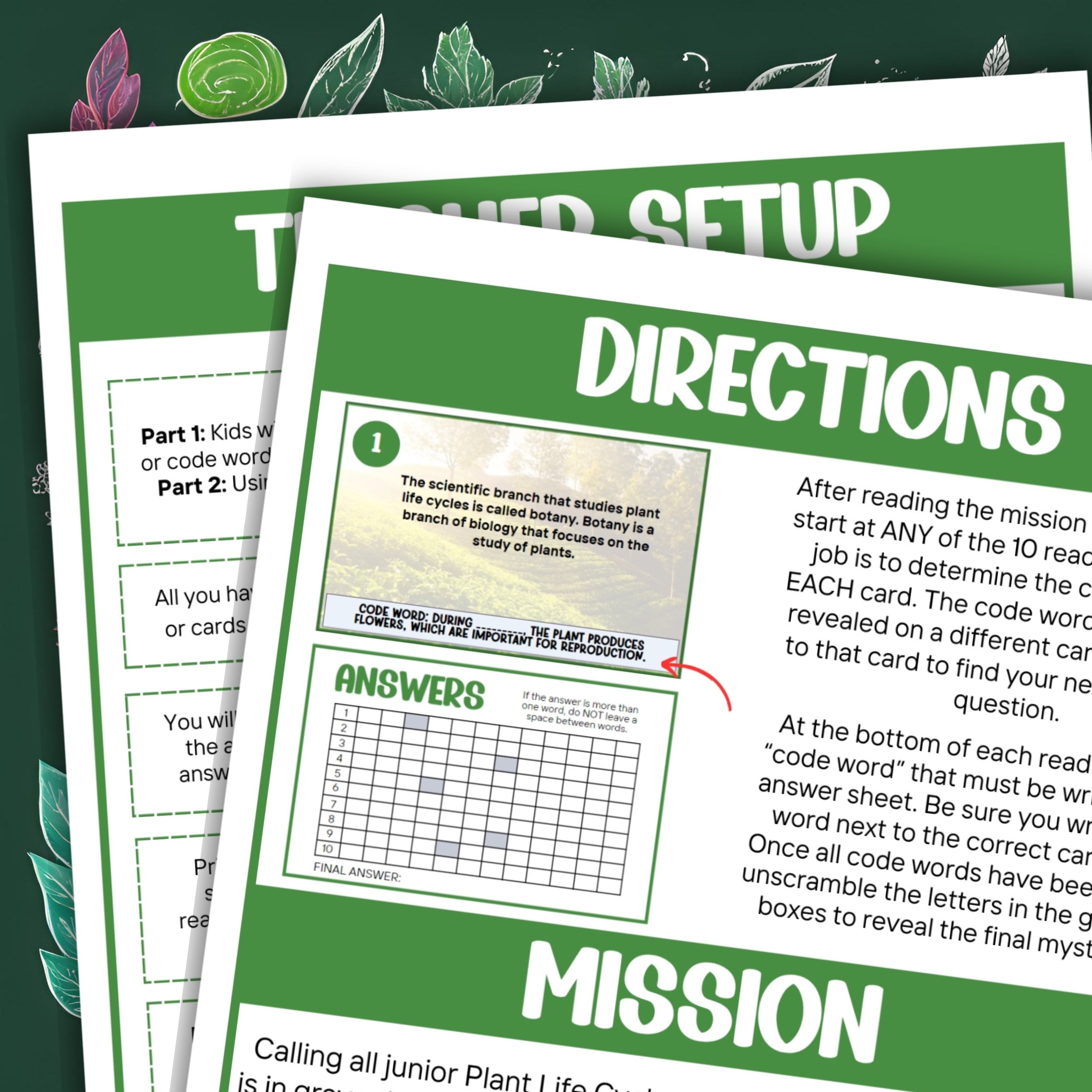 Plant Life Cycle Scavenger Hunt: Botany Activity for Kids (digital ...