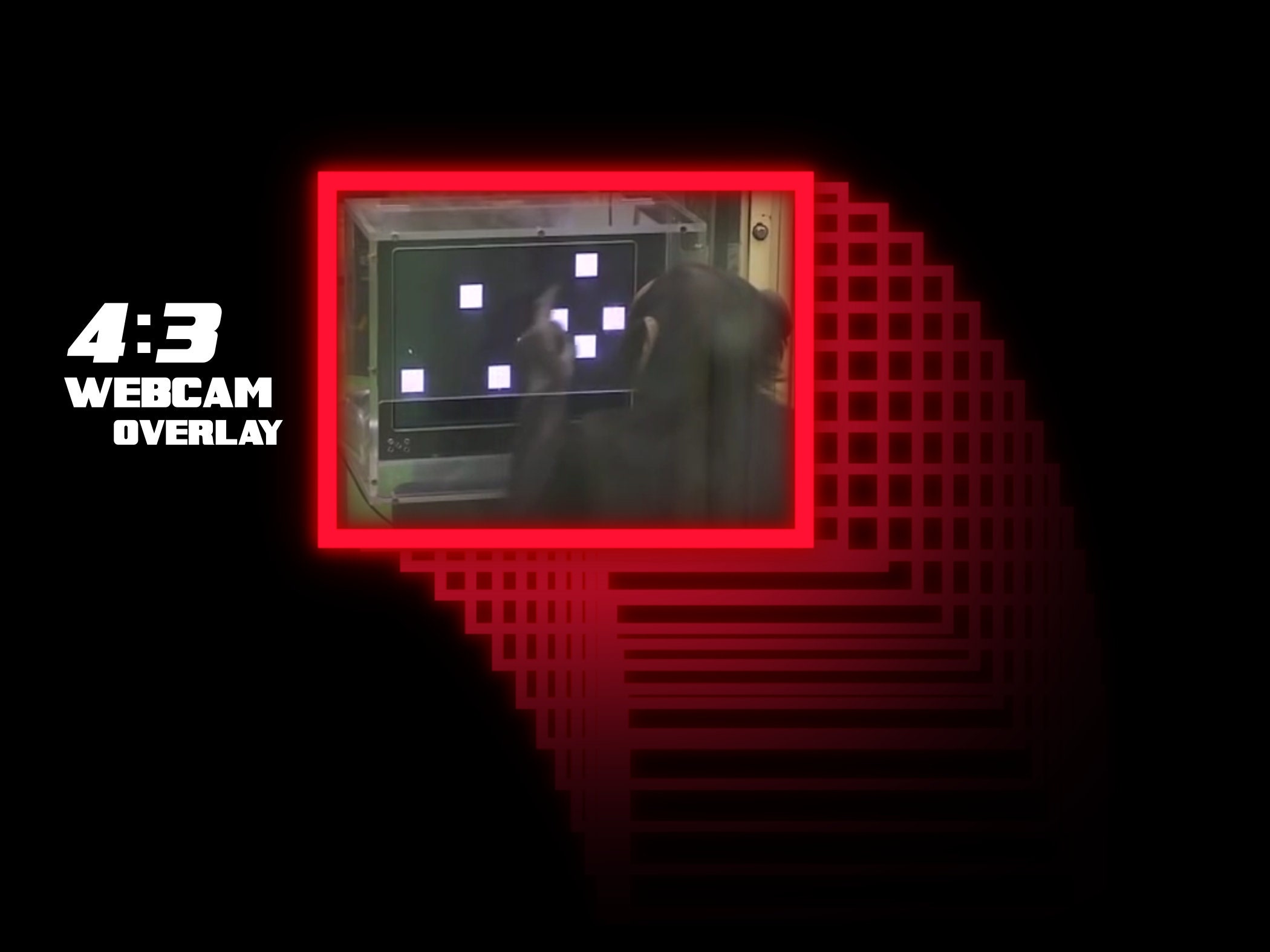 ANIMATED Vortex Twitch Overlay Package | Stinger Transition | Animated ...