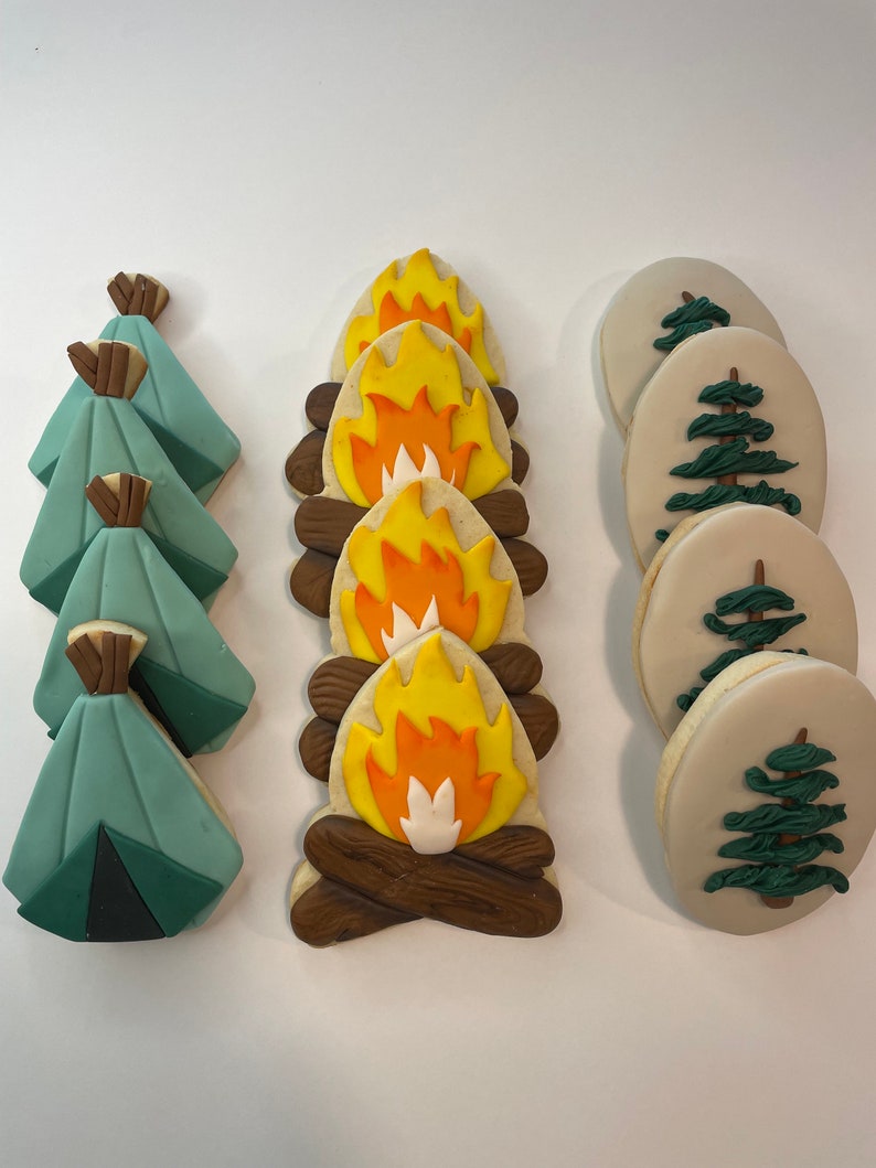 Camping Themed Sugar Cookies / Camping Birthday Cookies / Mediterranean ...