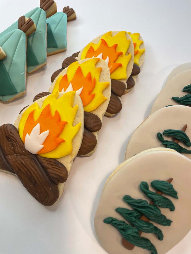 Camping Themed Sugar Cookies / Camping Birthday Cookies / Mediterranean ...