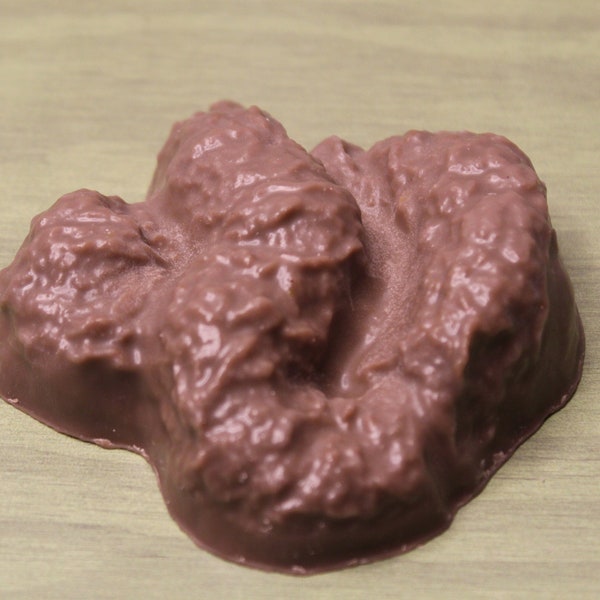 Fake Poop - Etsy