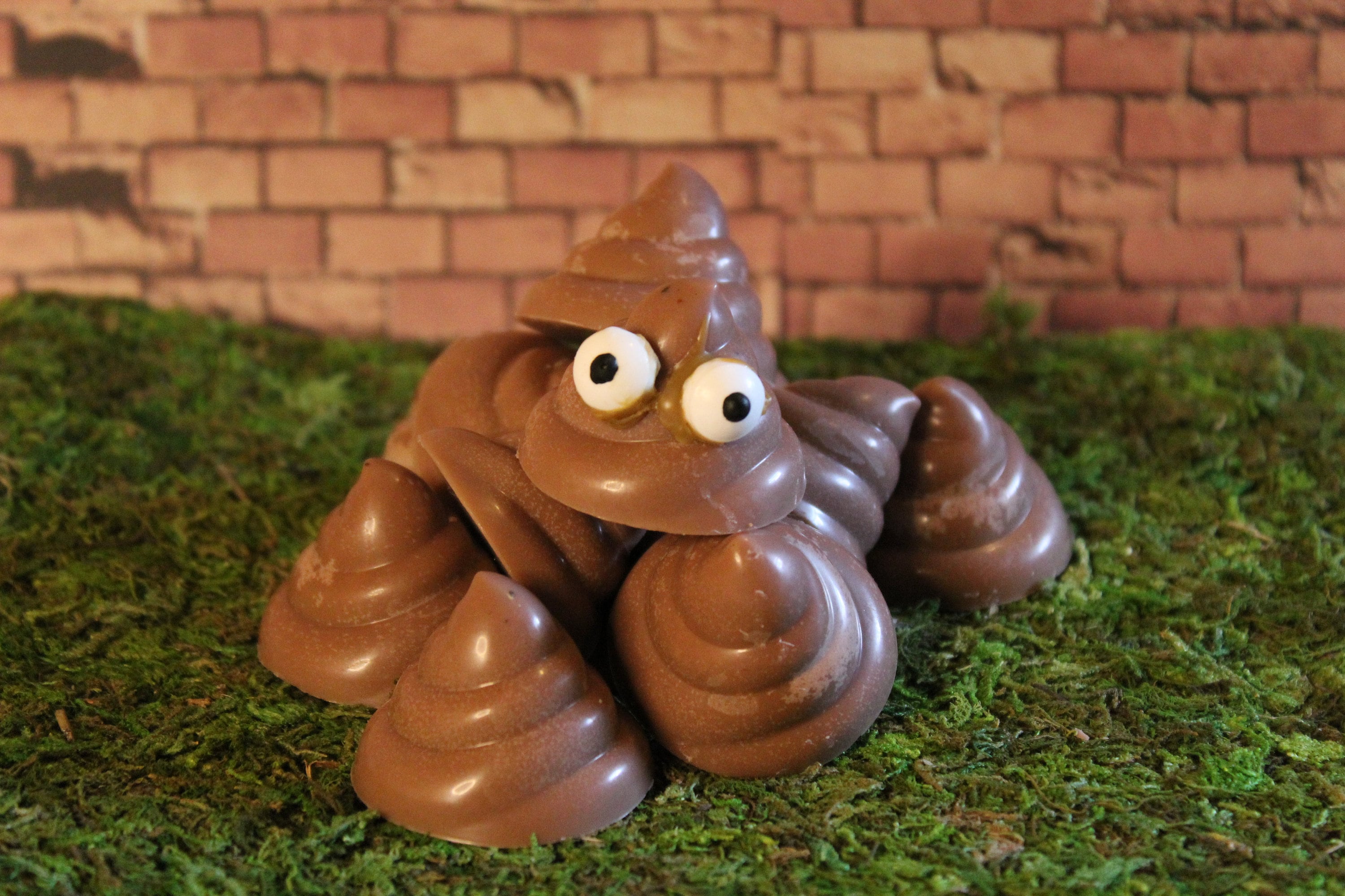 FRESA y CHOCOLATE Camo caca Chocolate Caca de camo Cera caca - Etsy España