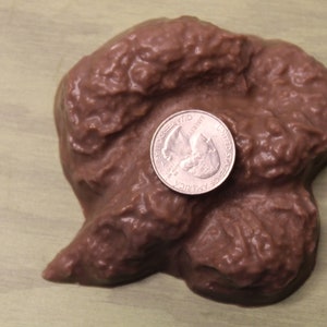 Wax Poop Scented Poop Gag Gift Fake Poo Tricks Prank - Etsy