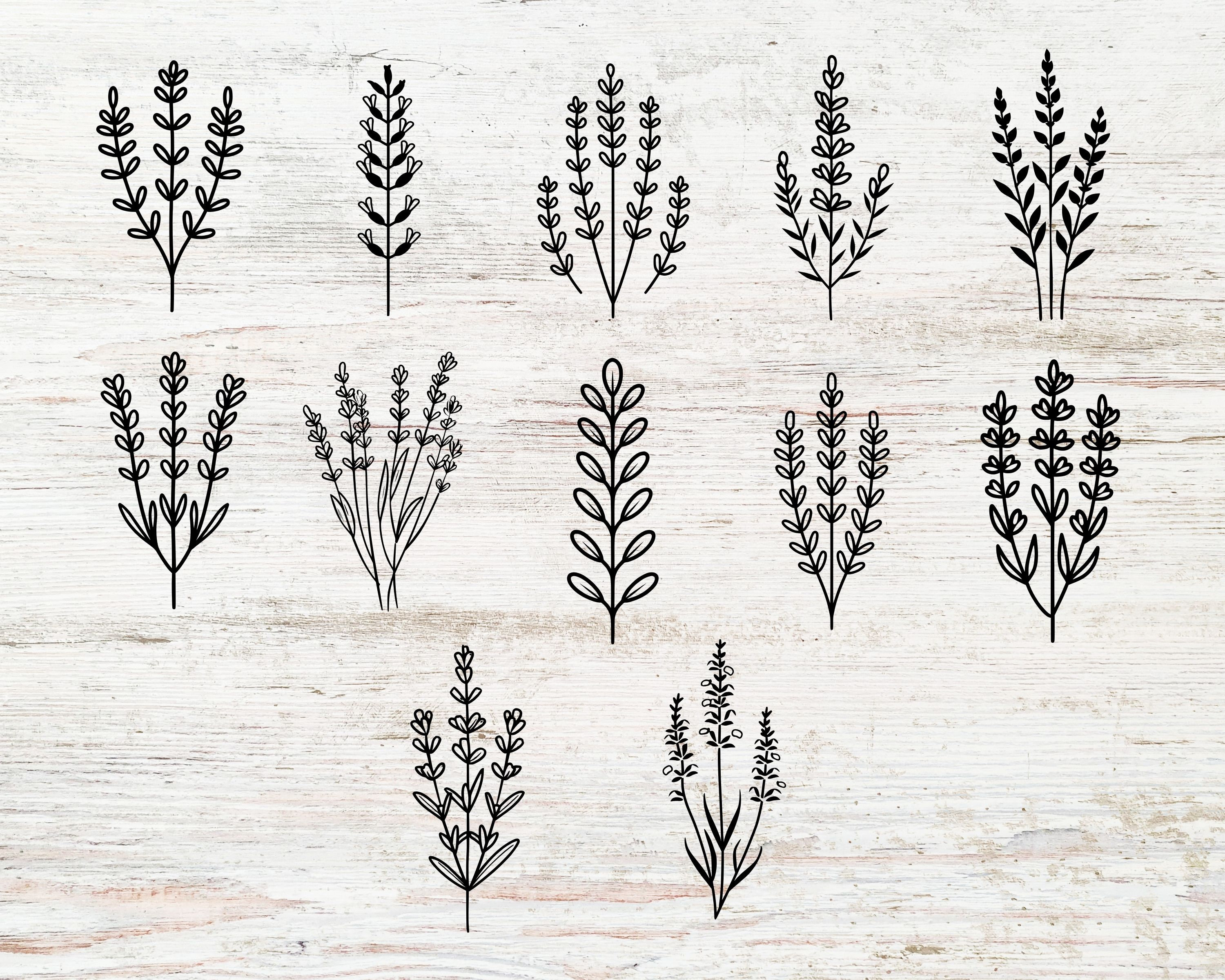 Lavender Flower Svg Bundle, Lavender Flower Png File, Lavender Flower ...
