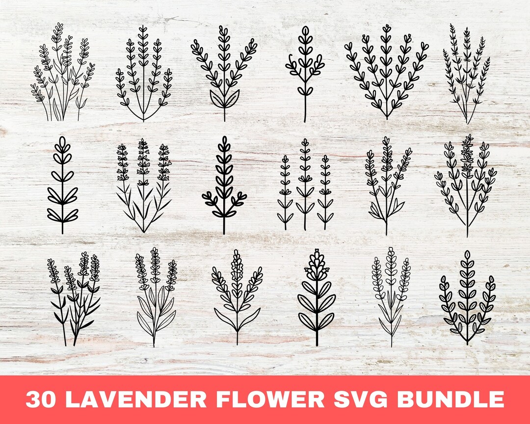 Lavender Flower Svg Bundle, Lavender Flower Png File, Lavender Flower ...