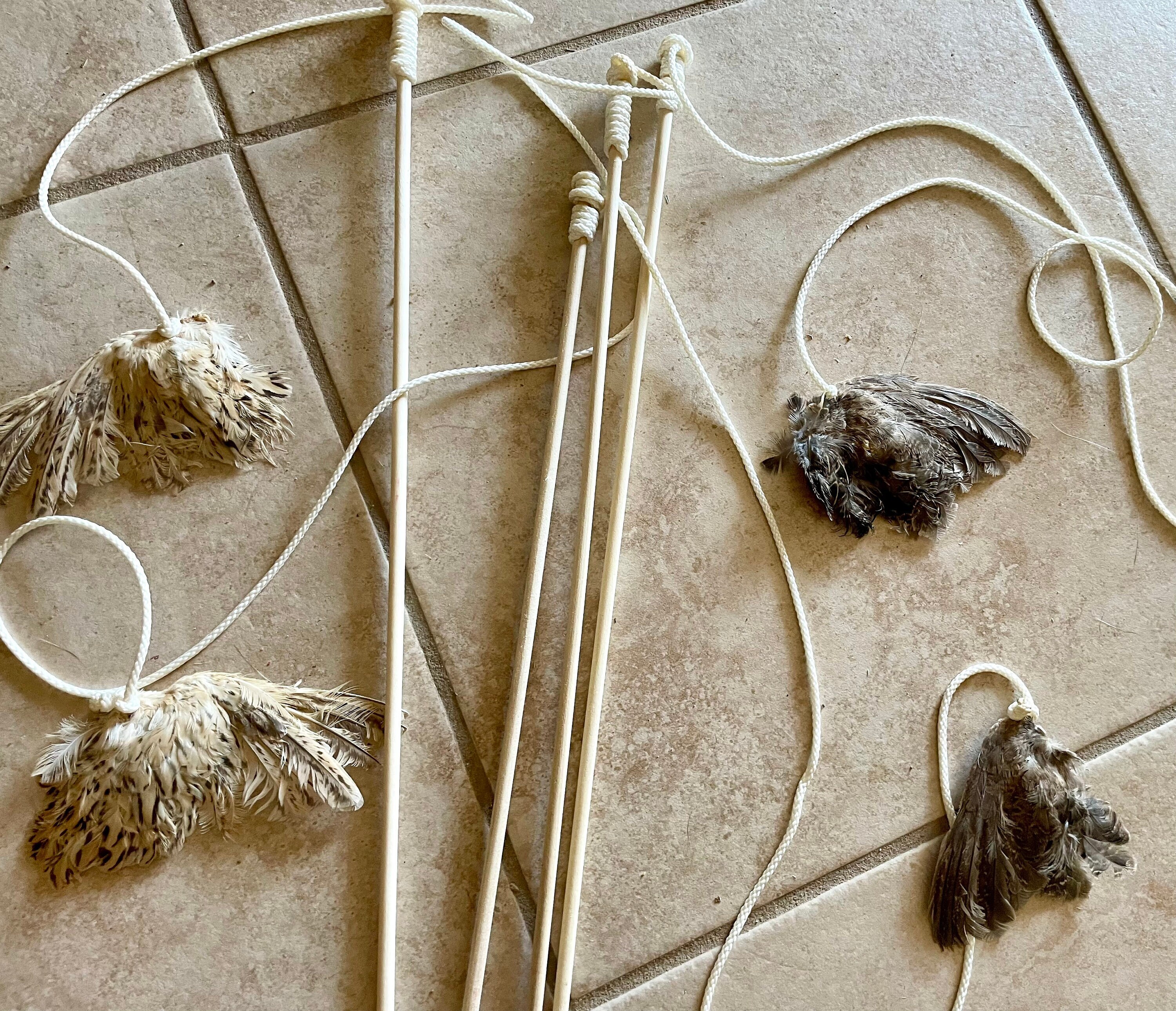 All Natural Quail Wing Cat Toys - Etsy