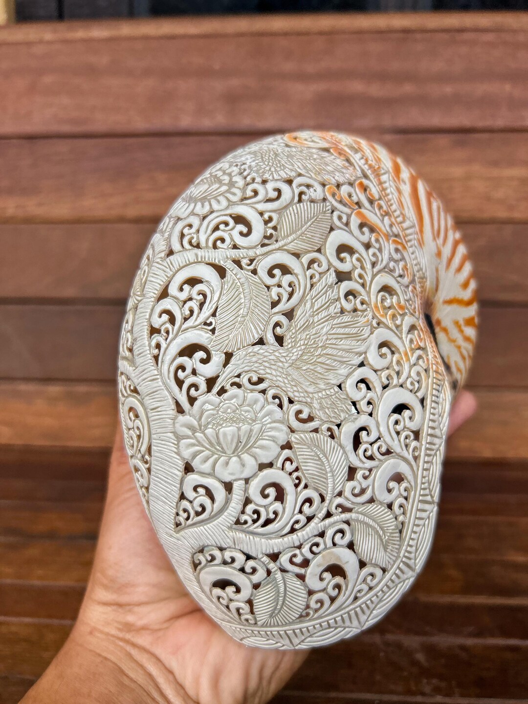 Humming Bird Hand Carved Shell ( Nautilus ) , Real and Natural Sea ...