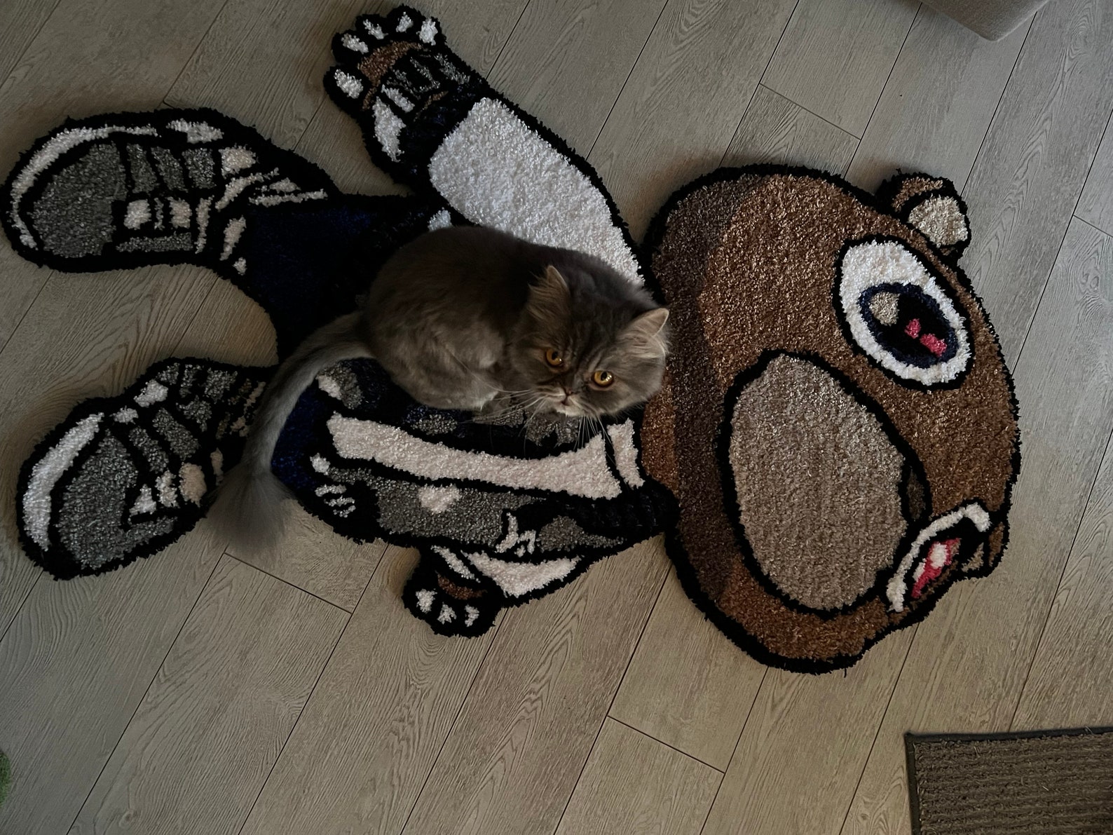 Kanye Graduation Bear Rug - Etsy
