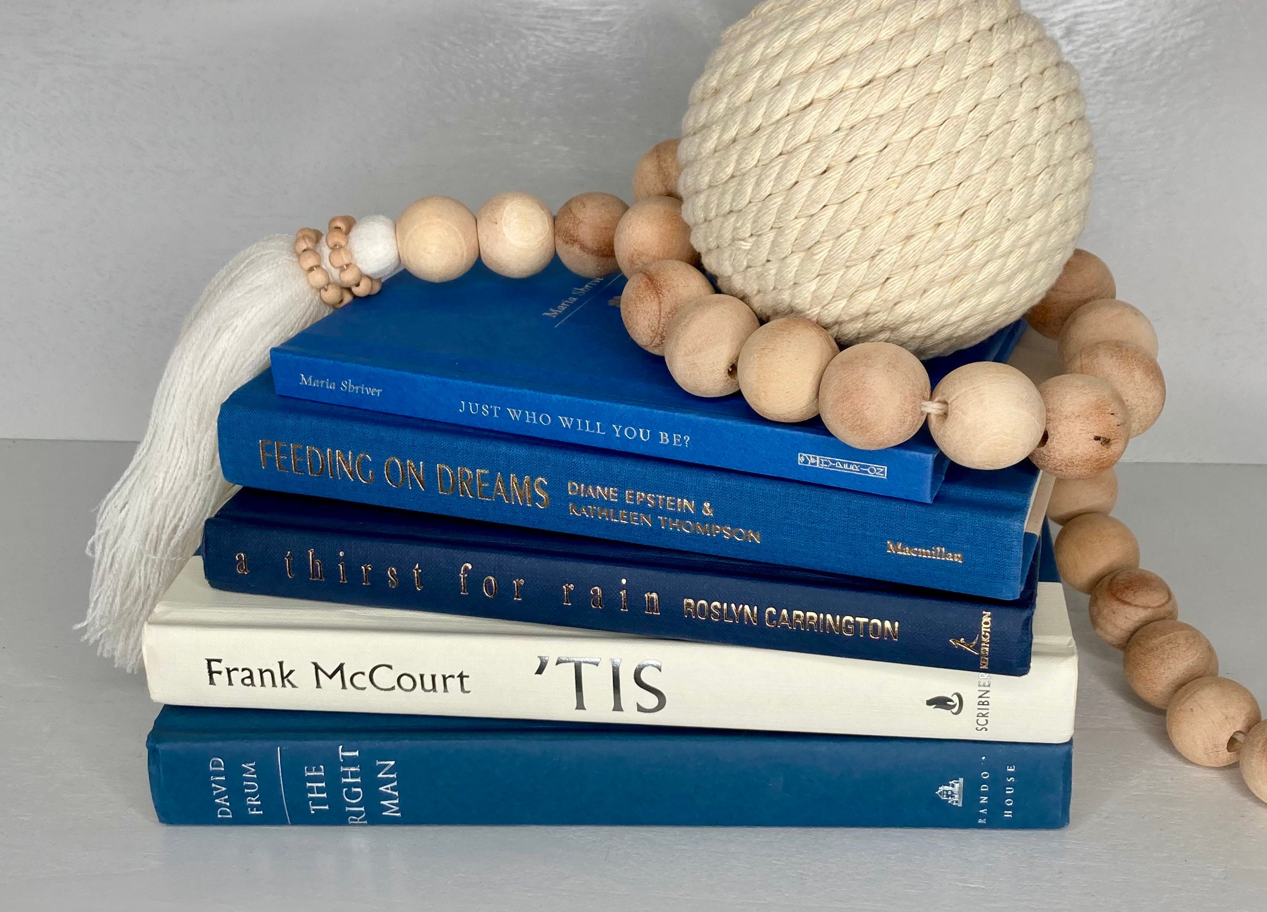Blue Book Stack, Neutral Books for Styling, Blue Book Stack, Lake House ...