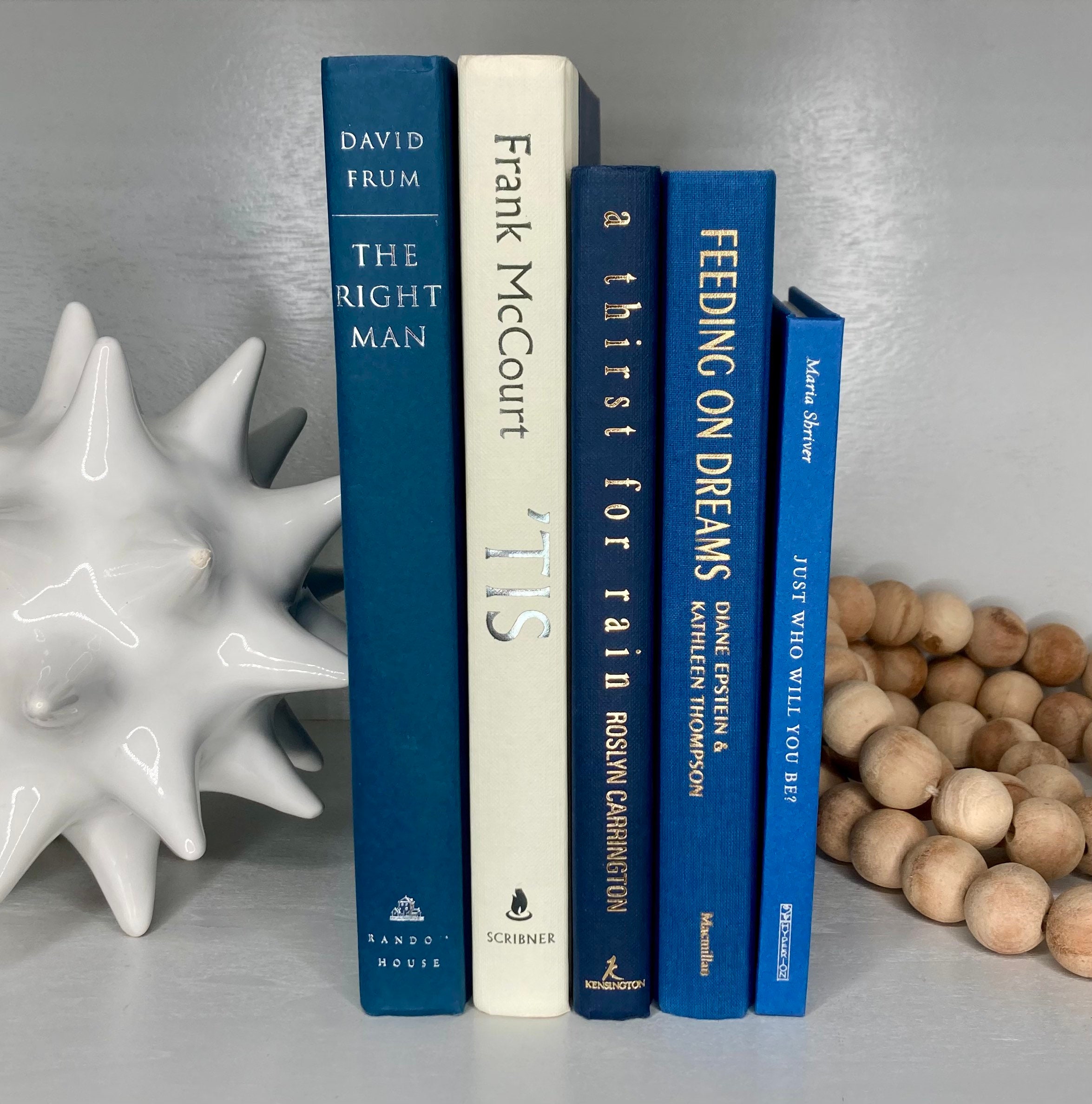 Blue Book Stack, Neutral Books for Styling, Blue Book Stack, Lake House ...
