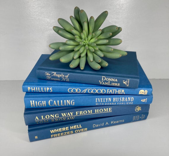 Blue Book Set for Home Decor Bundle Blue Books Home - Etsy