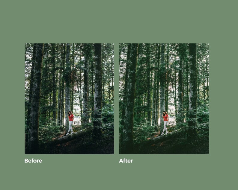 12 Fujifilm Fujicolor Pro Pack 160C 400H 800Z Lightroom Presets Film ...