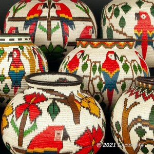 Photograph of a Group of Wounaan Baskets From the Darién Rainforest in ...