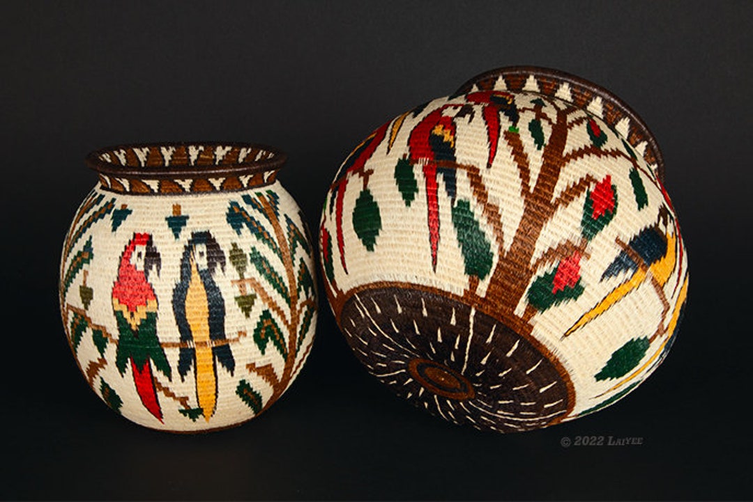 Photograph of a Pair of Wounaan Baskets From the Darién Rainforest in ...