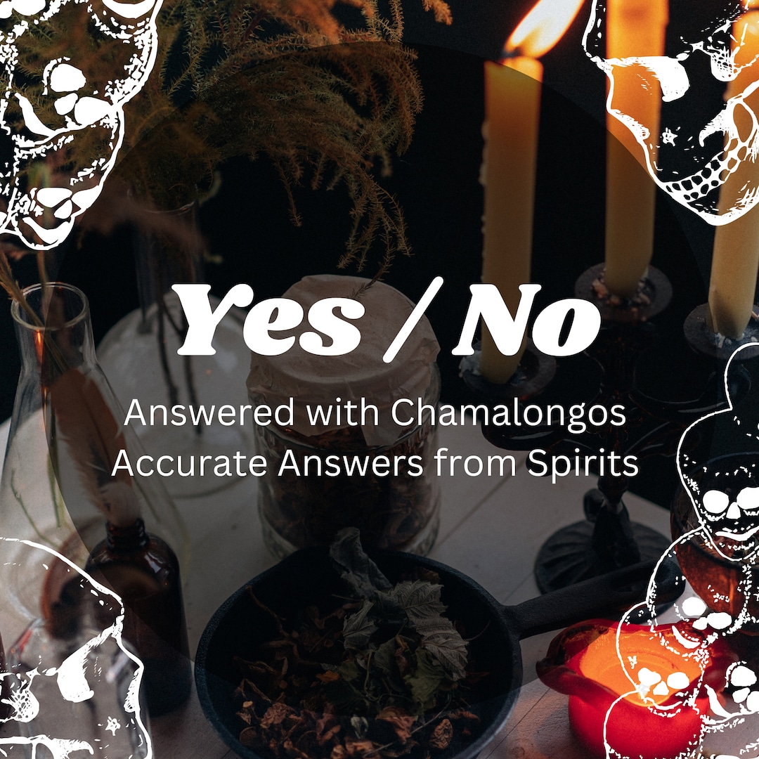 Yes/no Quick & Accurate With Chamalongos /cori Shells - Palo Mayombe ...