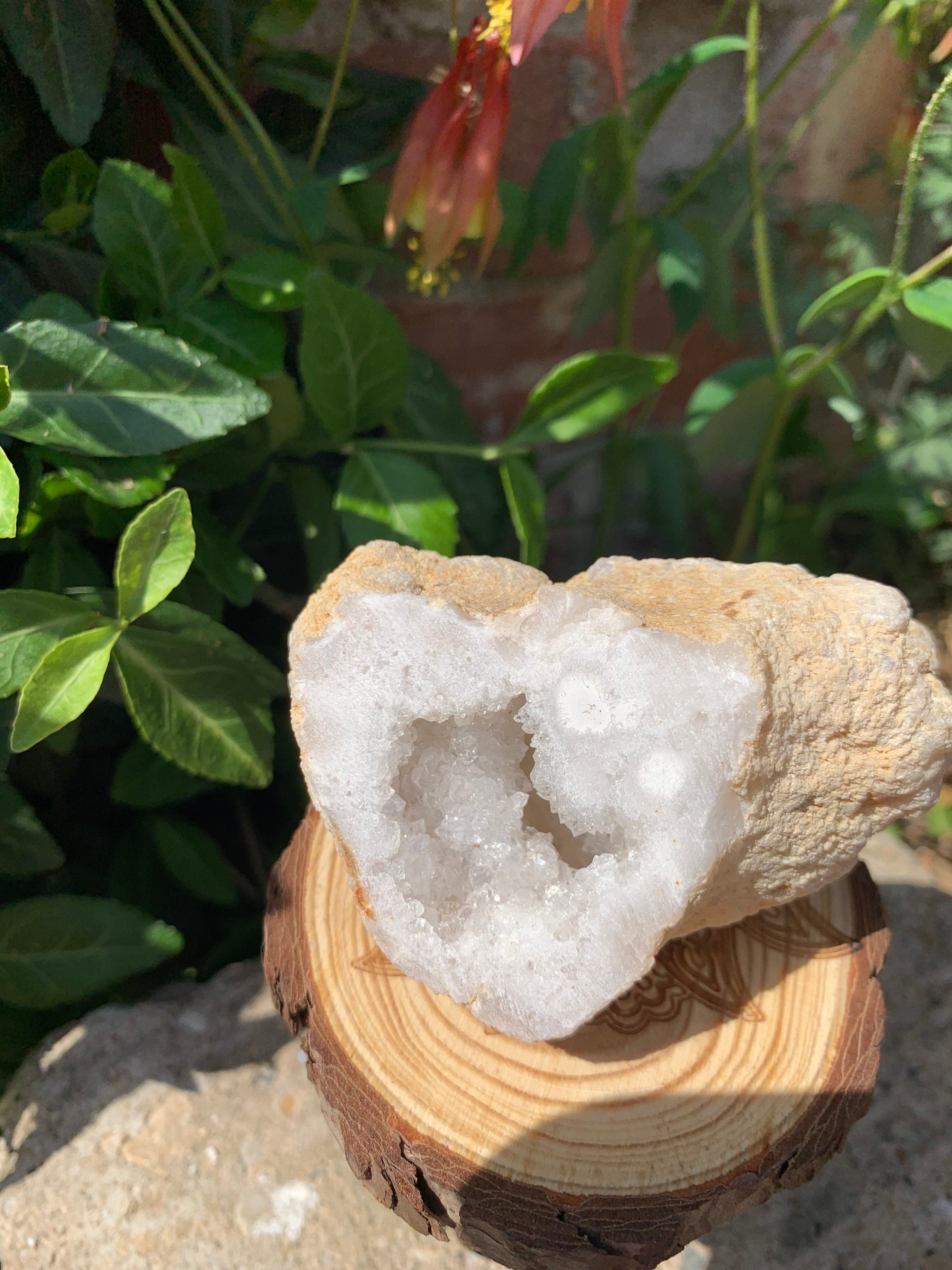 Clear quartz geode | Etsy