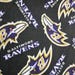 Baltimore Ravens NFL Custom Reversible Fleece Throw Blanket - Etsy