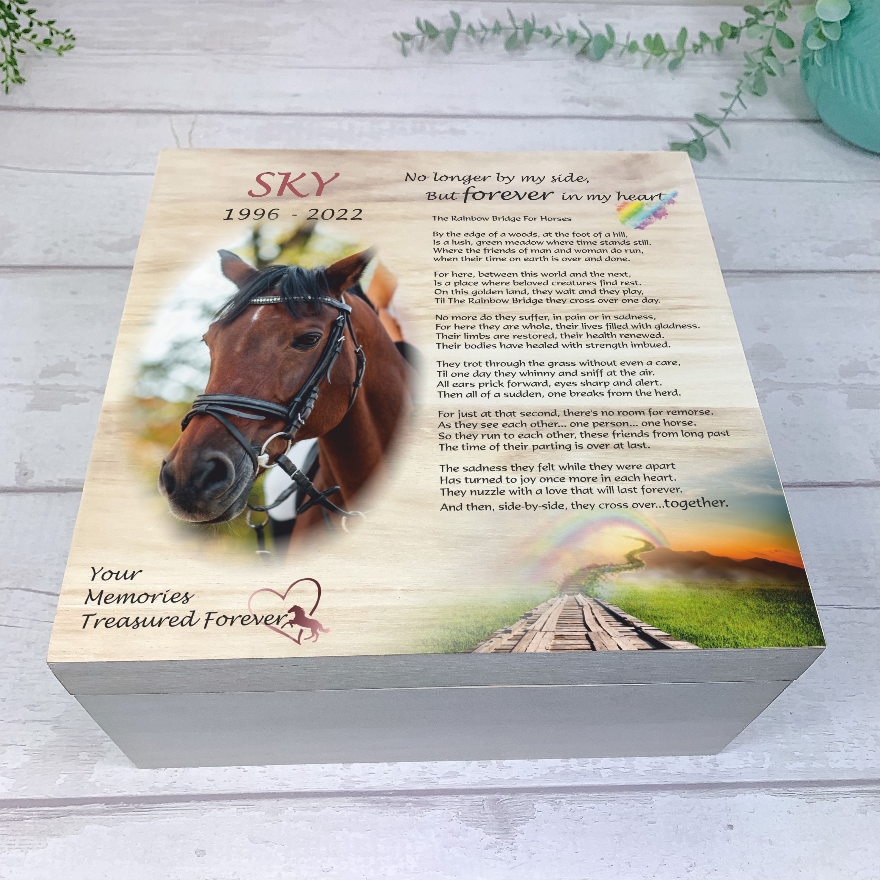 The Rainbow Bridge For Horses