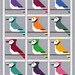 Blue Jay Bird Quilt Block Pdf Pattern - Etsy