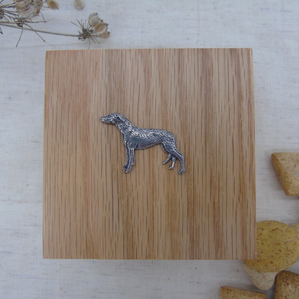 Greyhound Gifts - 60+ Gift Ideas for 2024