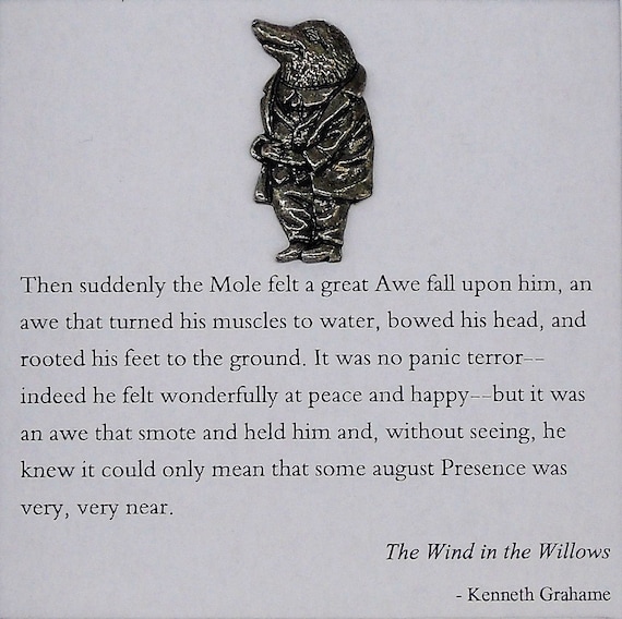 The Wind In The Willows Mole