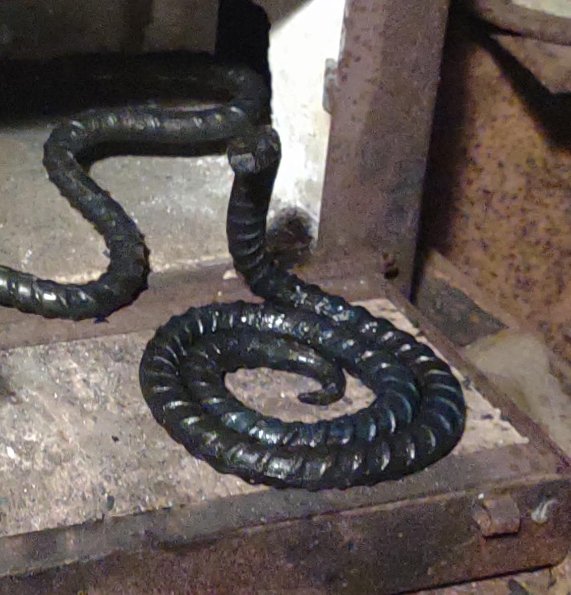 Rebar Snakes (1 Foot-3 Foot) - Etsy