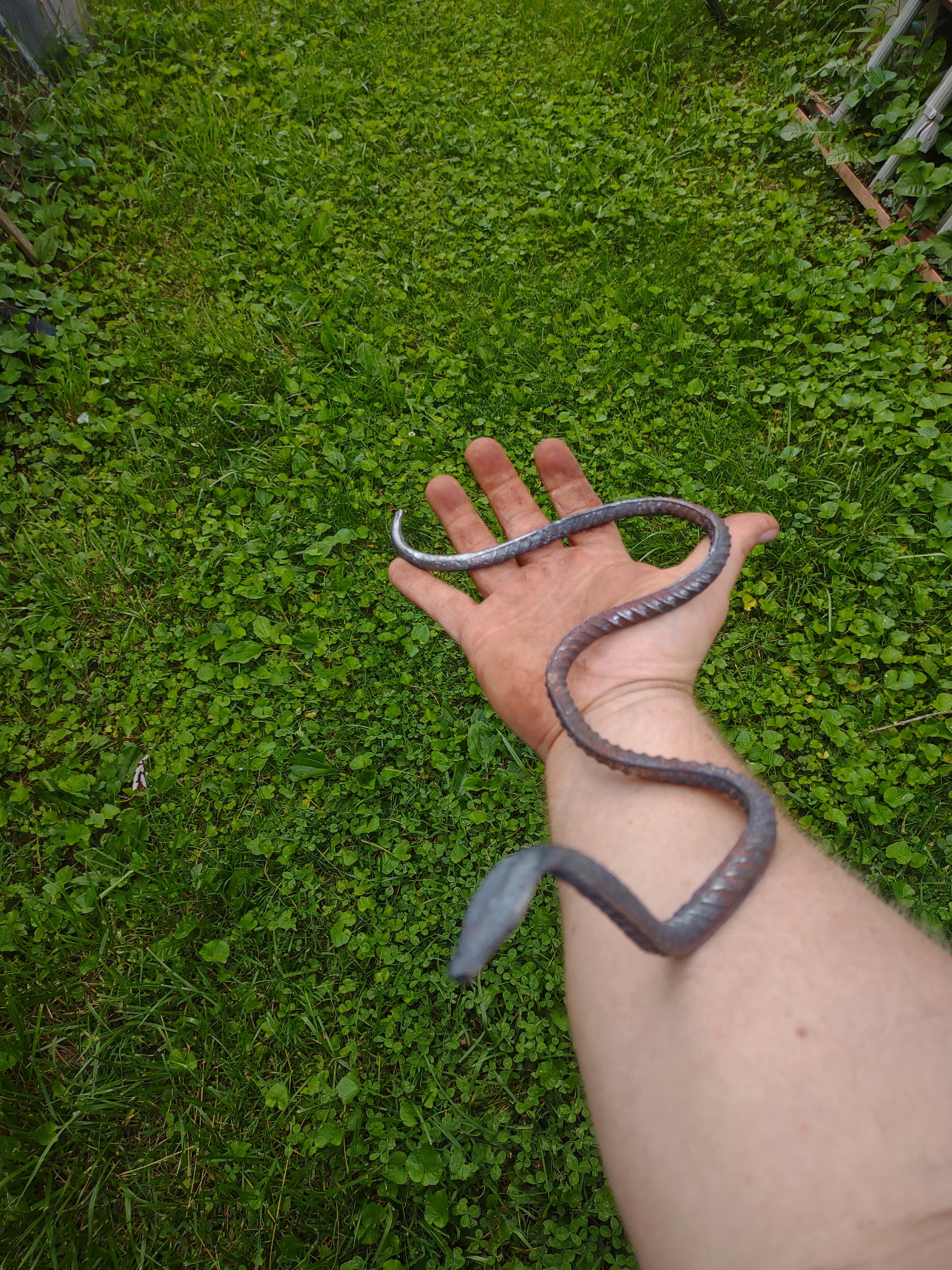 Rebar Snakes (1 Foot-3 Foot) - Etsy