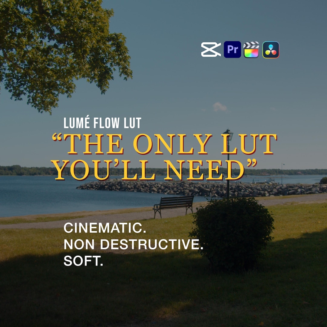 Soft & Cinematic LUT - the Only One You'll Need - Etsy