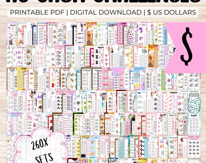 Savings Challenge Envelope, Laminated Savings Tracker, Zipper Cash ...