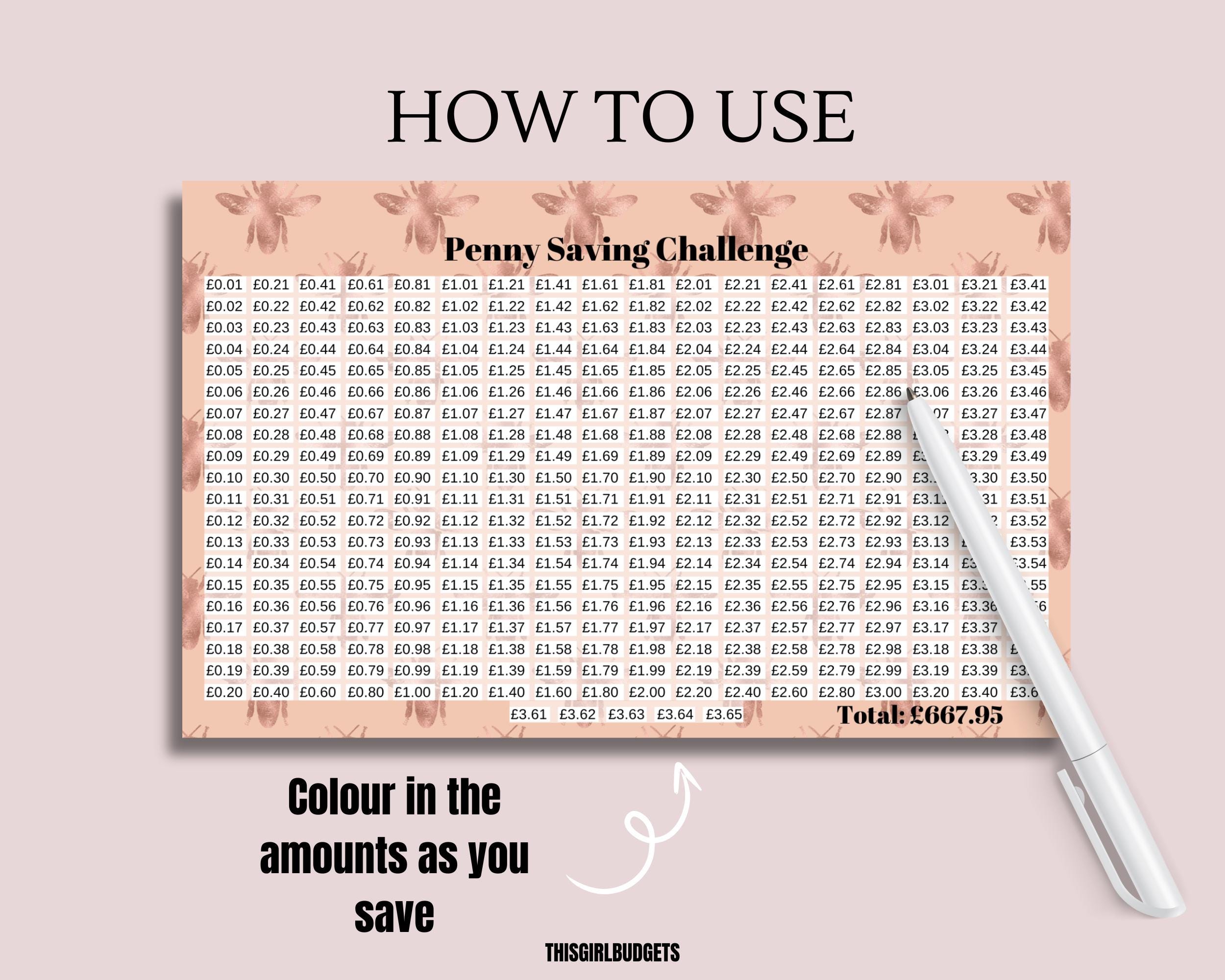 Penny Saver Challenge - A6 Printable Cash Stuffing Tracker, Save 667.95 ...