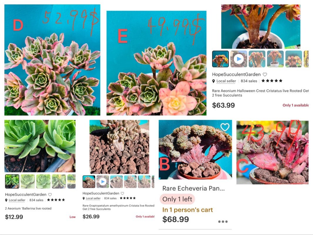 Reserved Listing for Barbri3 - Mega Bundle operone.de