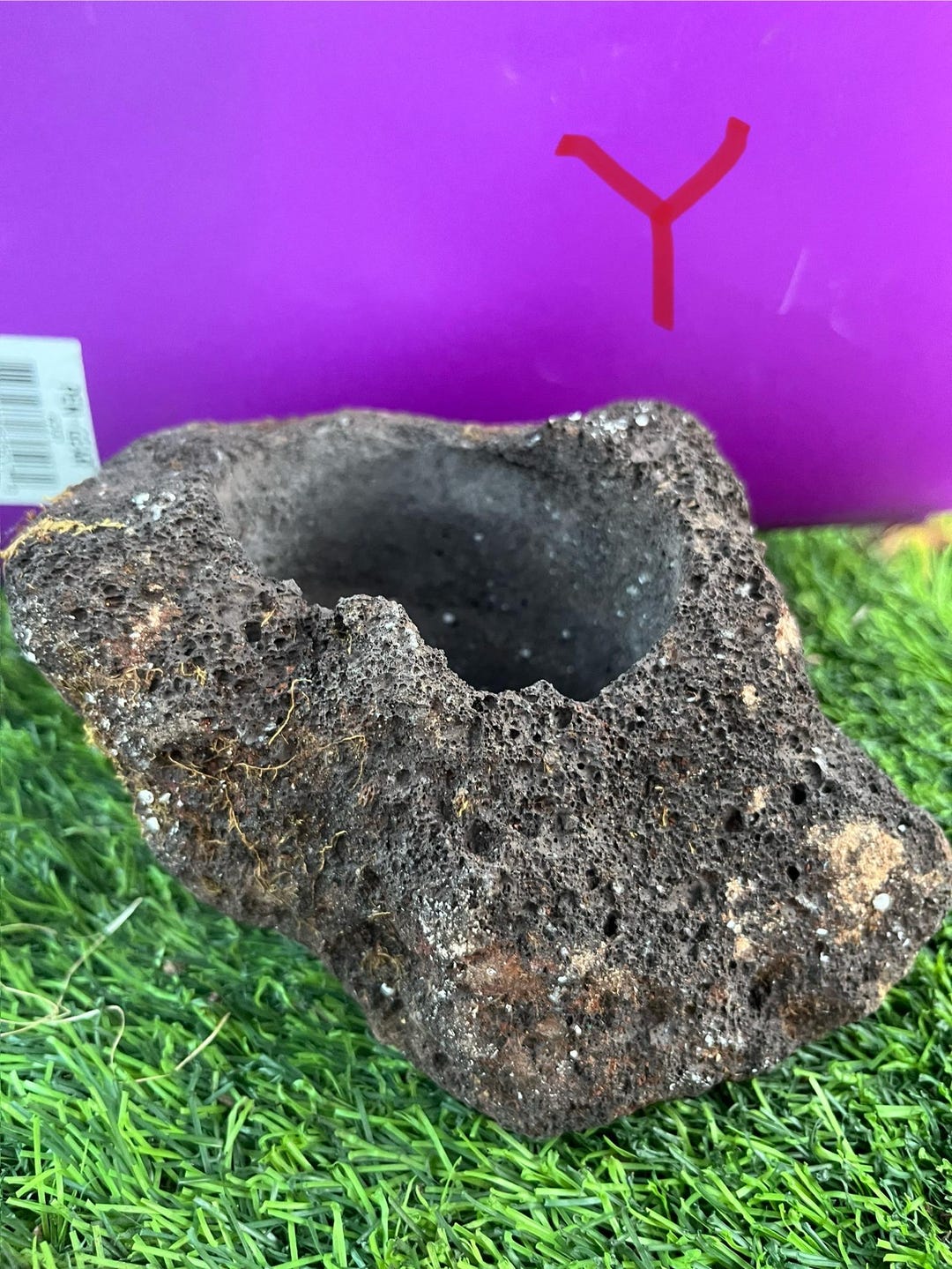 Unique Lava Rock Planters – All Natural, Perfect for Succulents and Air ...