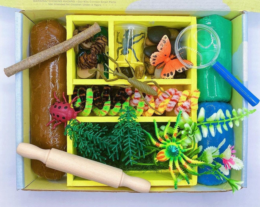 Bugs Playdough Kit, Insect Playdough Kit, Bug Collector Toy, Playdough ...